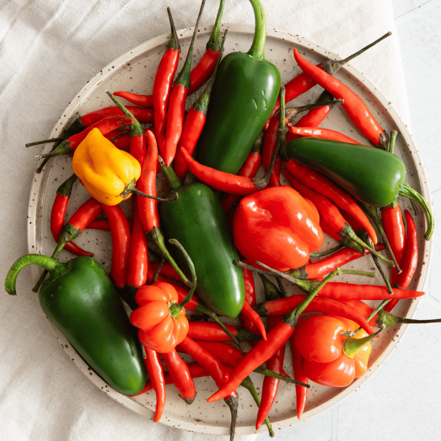 Chili Guide für Einsteiger: Die wichtigsten Chili Sorten