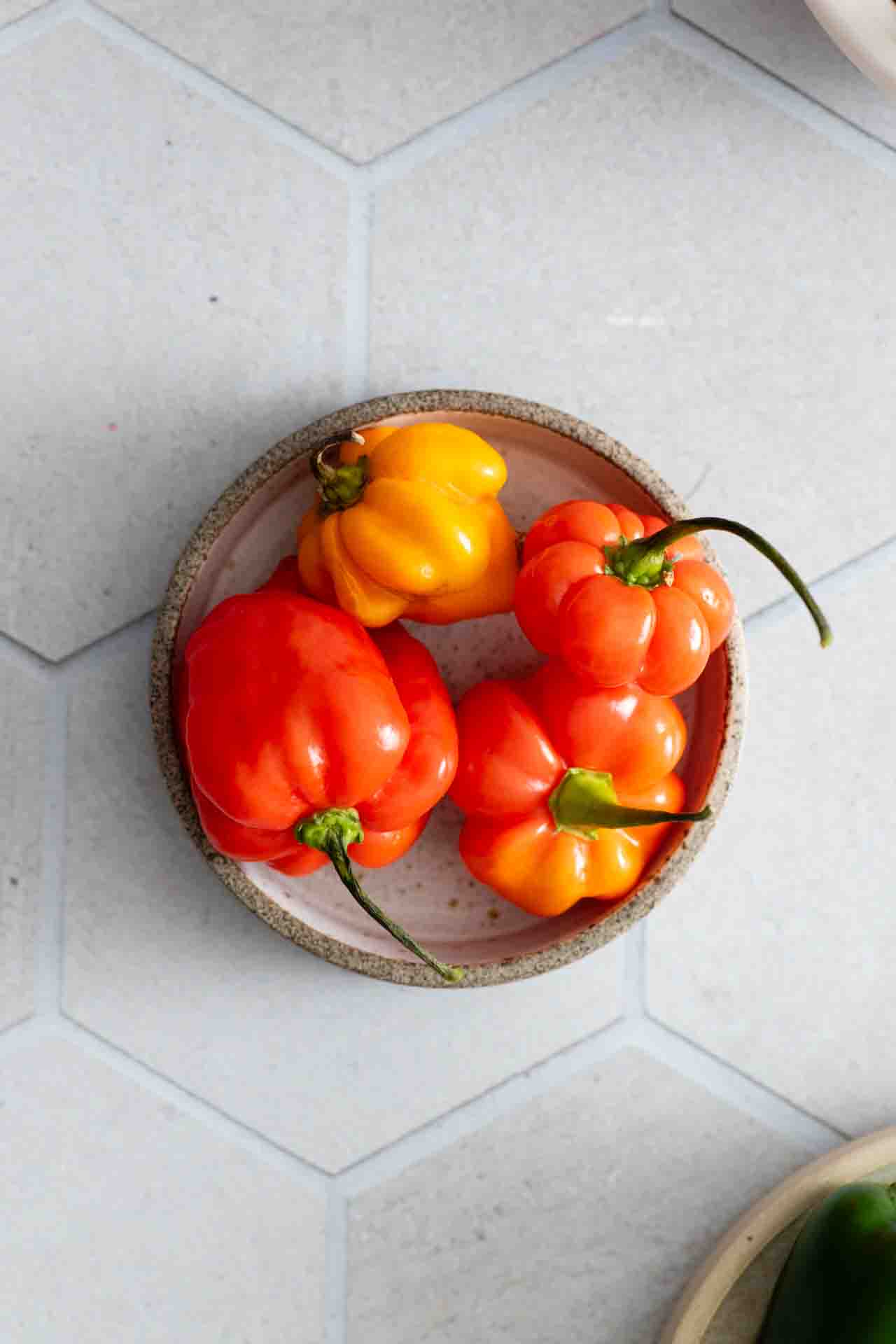 Chili Guide für Einsteiger: Die wichtigsten Chili Sorten