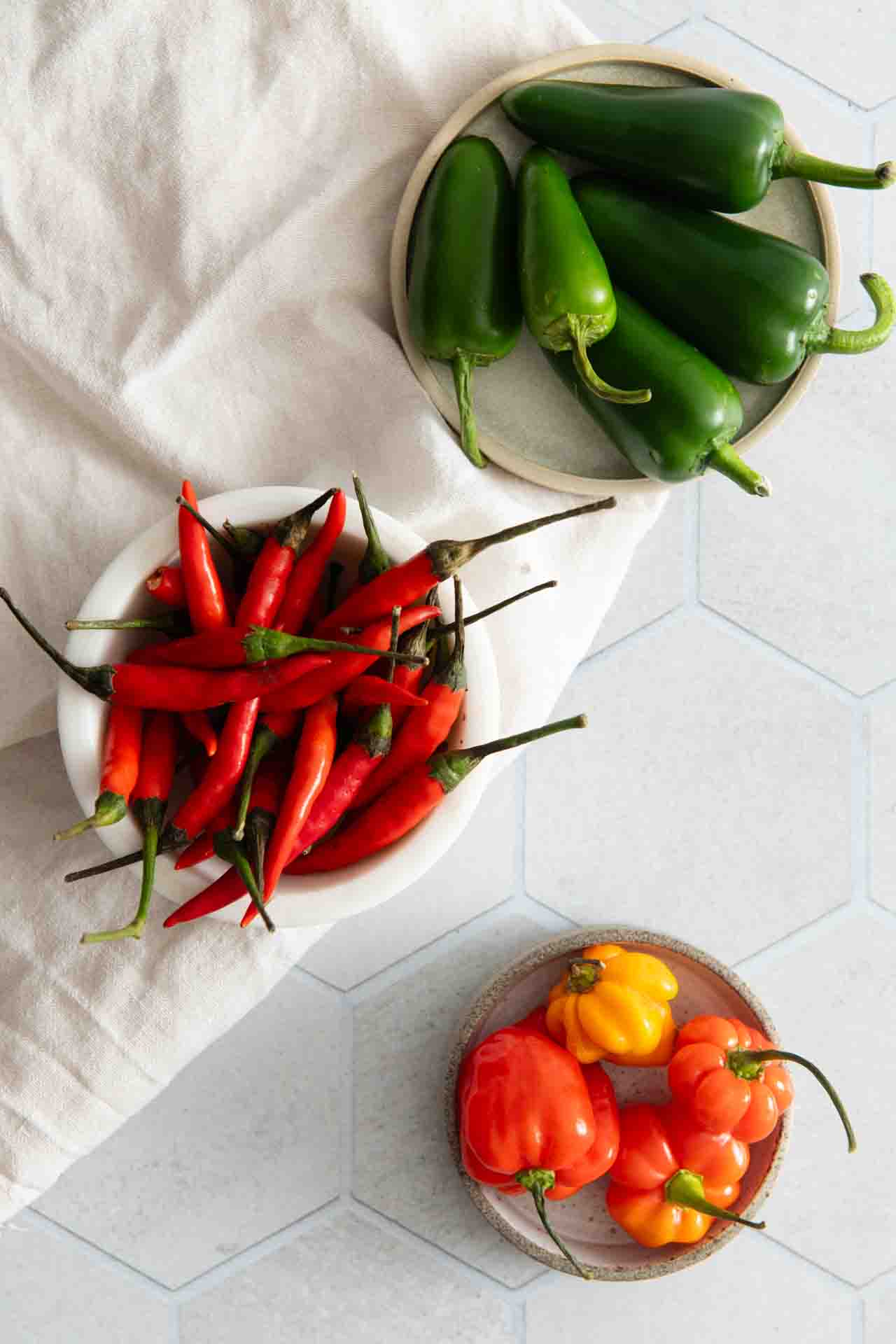 Chili Guide für Einsteiger: Die wichtigsten Chili Sorten