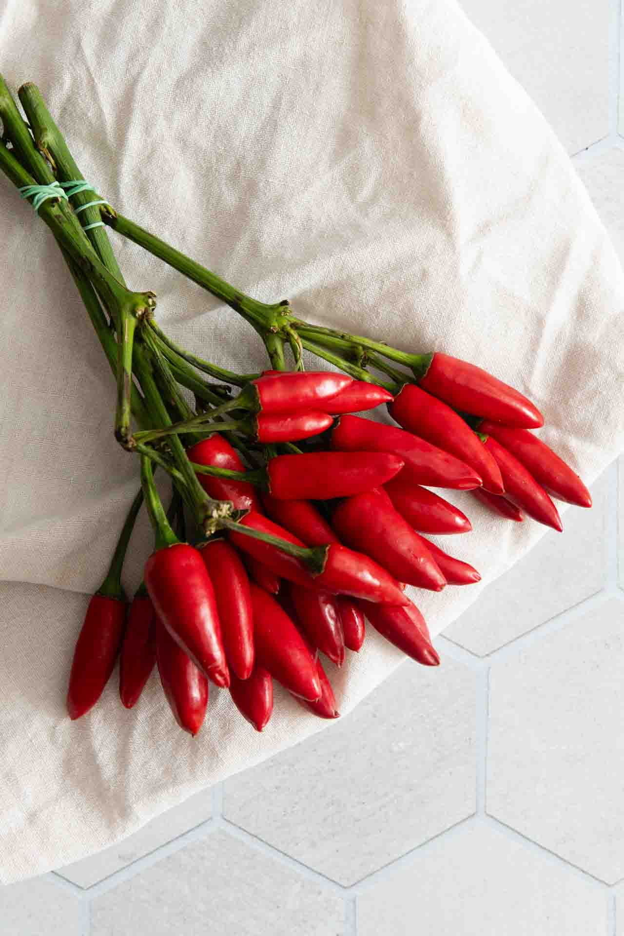 Chili Guide für Einsteiger: Die wichtigsten Chili Sorten